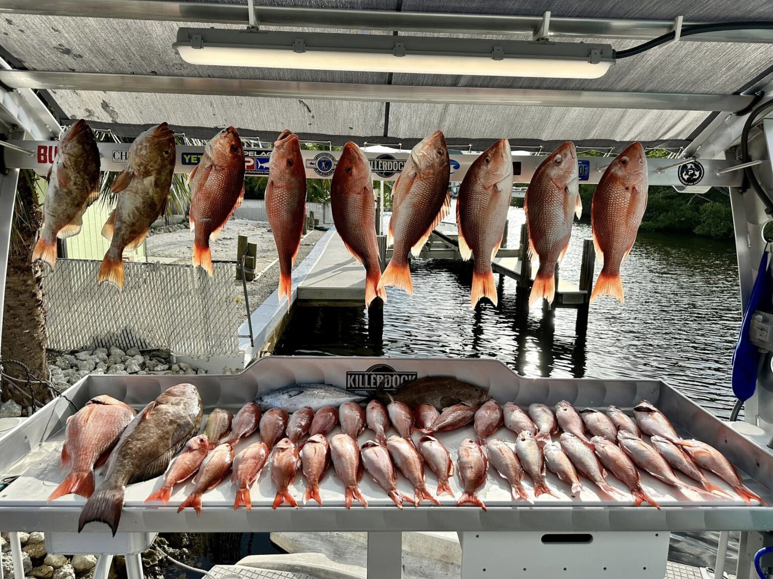 Fish Skinning Table | Slam 7 1/2 Canopy | KillerDock