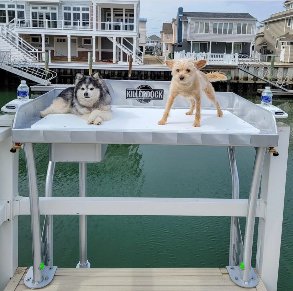 Fillet Table For Dock | Upscale 4 1/2 Table Top | KillerDock