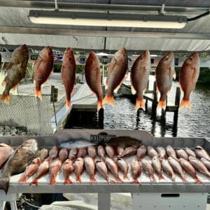 Fish Hanger For Sale | Slam Addition | KillerDock